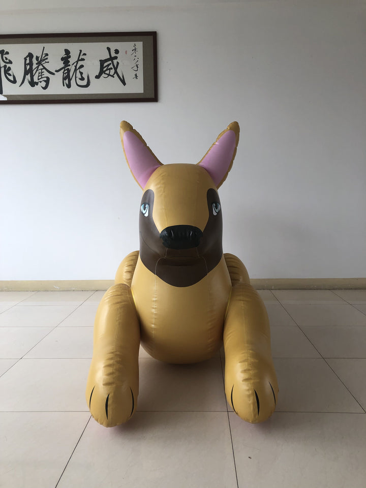 Products – PhenodToy